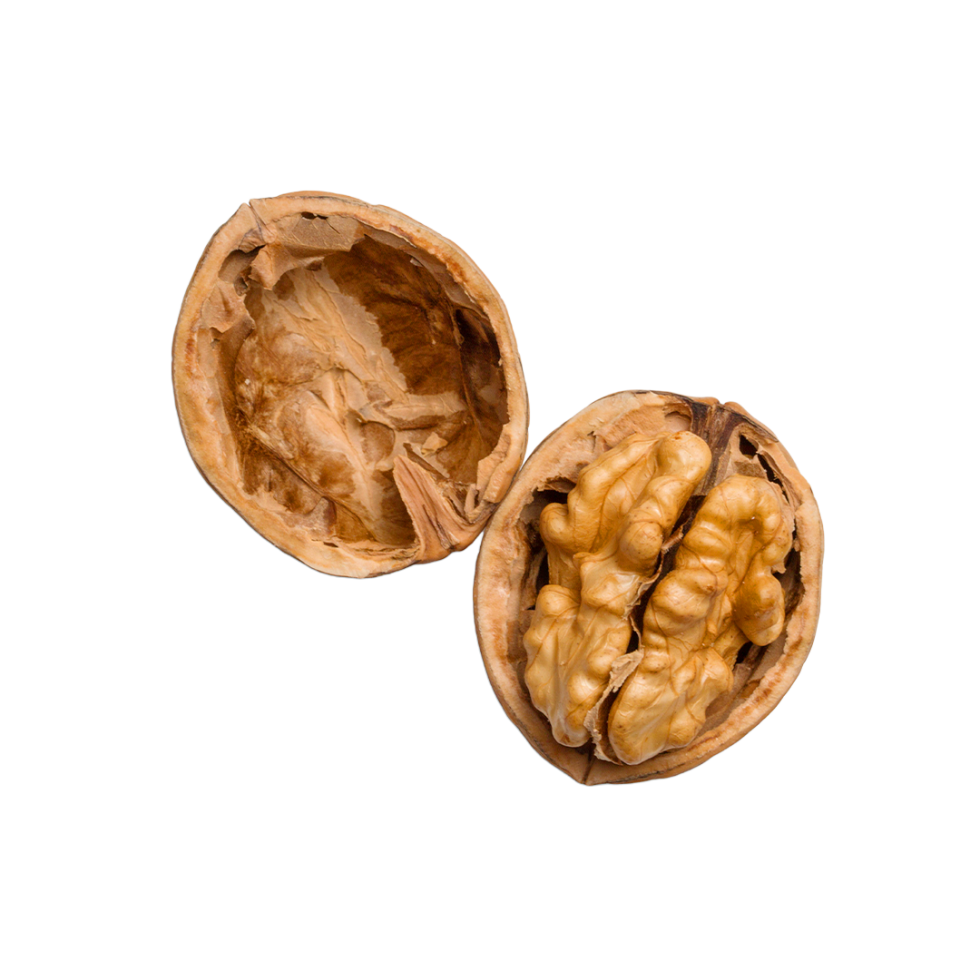 Basiron WALNUT - nieuw - Basiron Cheese